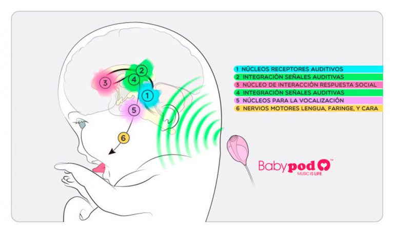 BABYPOD: Music for baby in womb directly transmitted